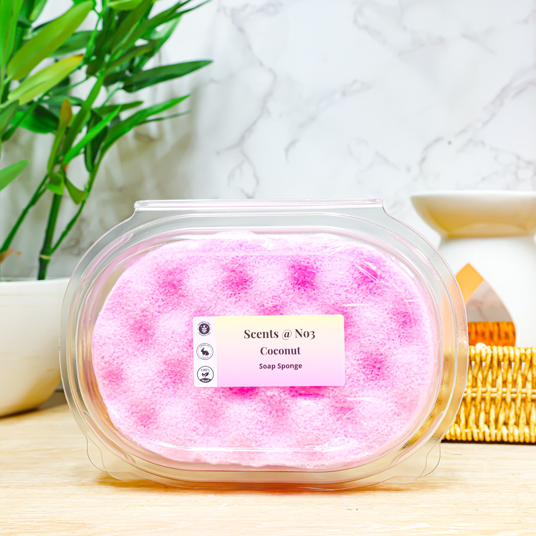 Coconut Exfoliating Soap Sponge