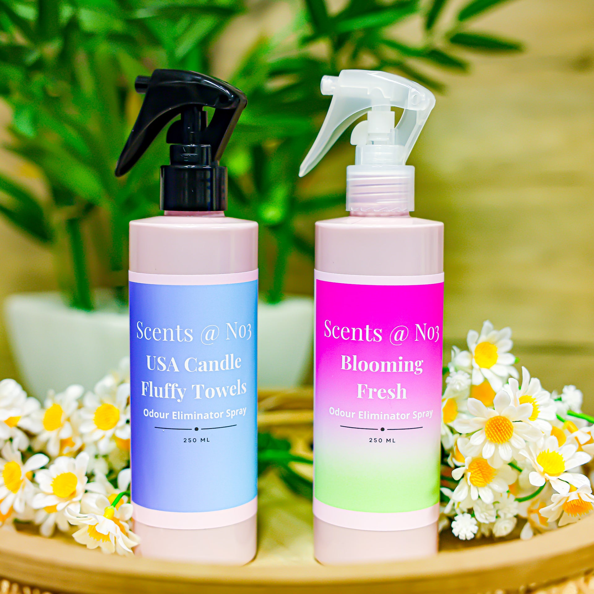 Scents At No3 – Scents at No3